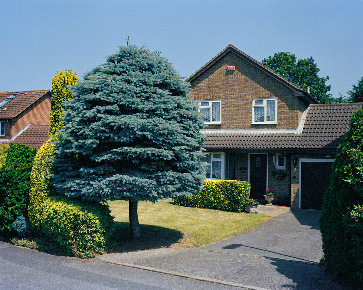 THE ENDLESS LOOP — Max Master