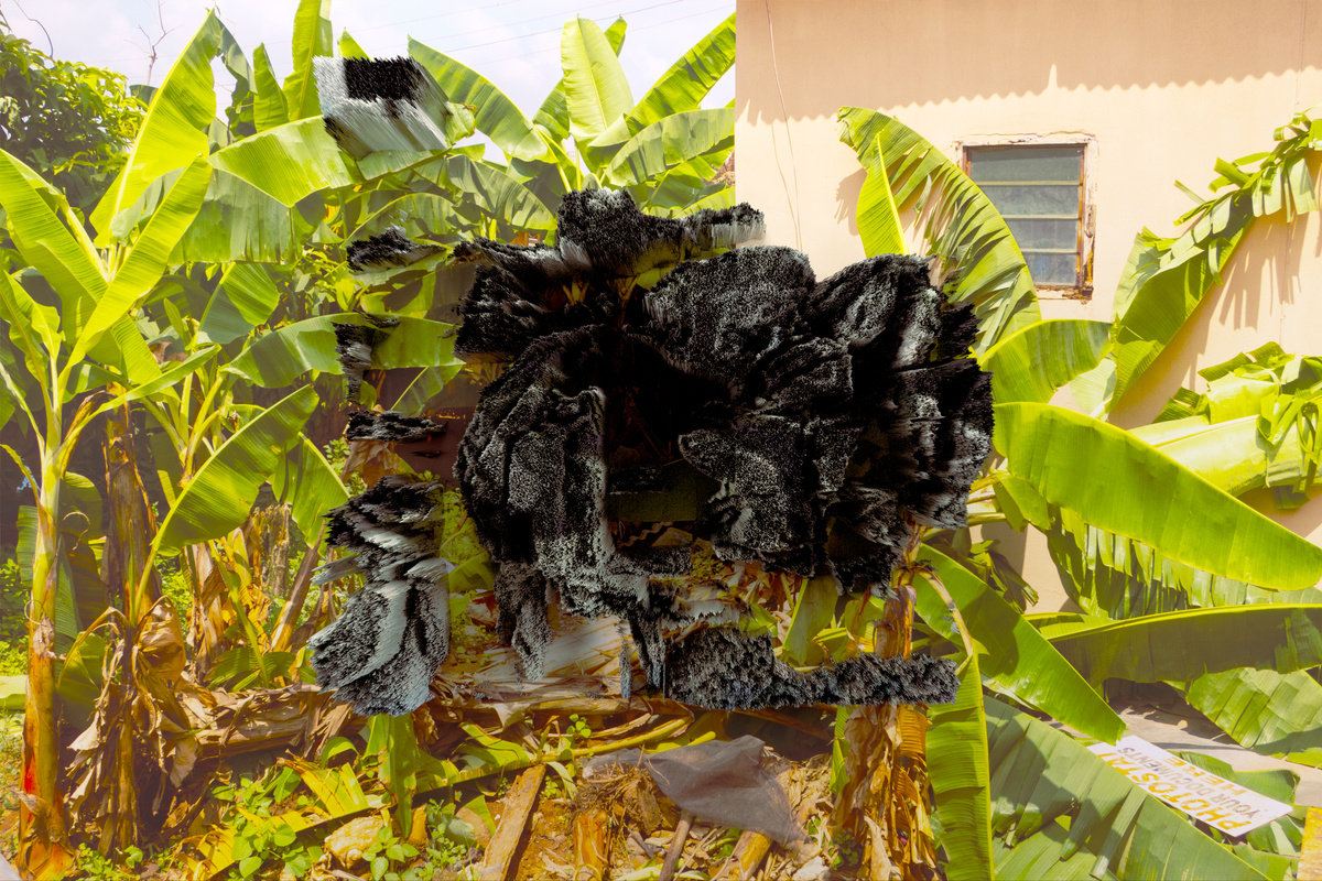 Process 1: Process and Theory — The Red Earth Project