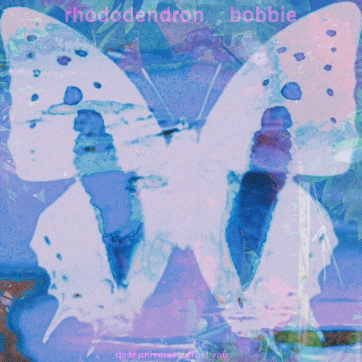 UPCOMING BOBBIE GIGS — bobbie music