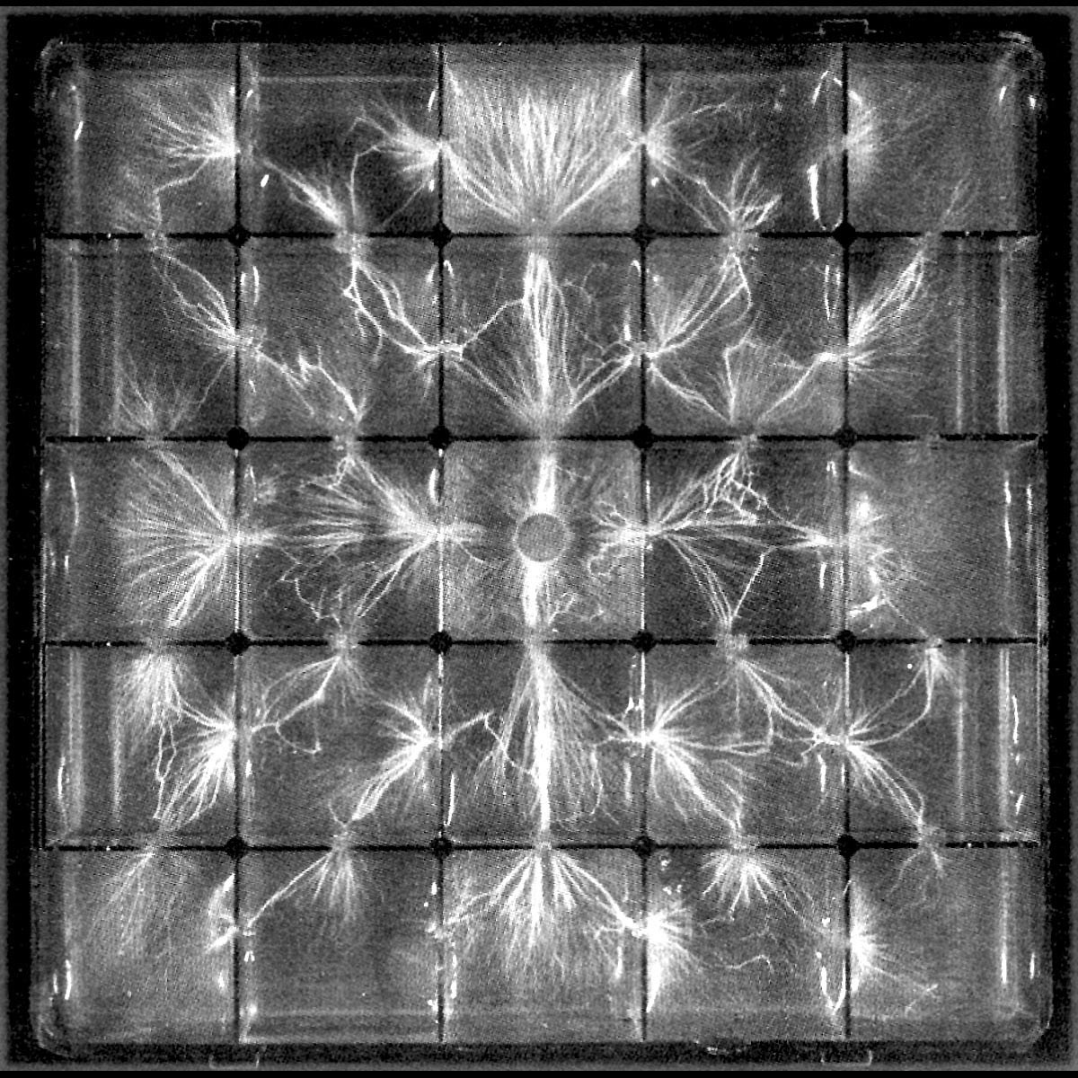 Contact — Open Fung