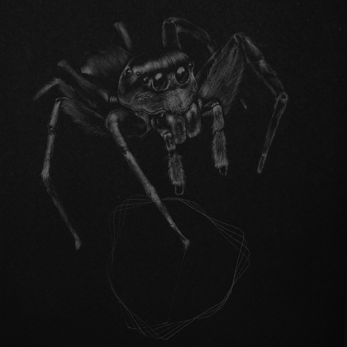 Astrology — alice and the witches