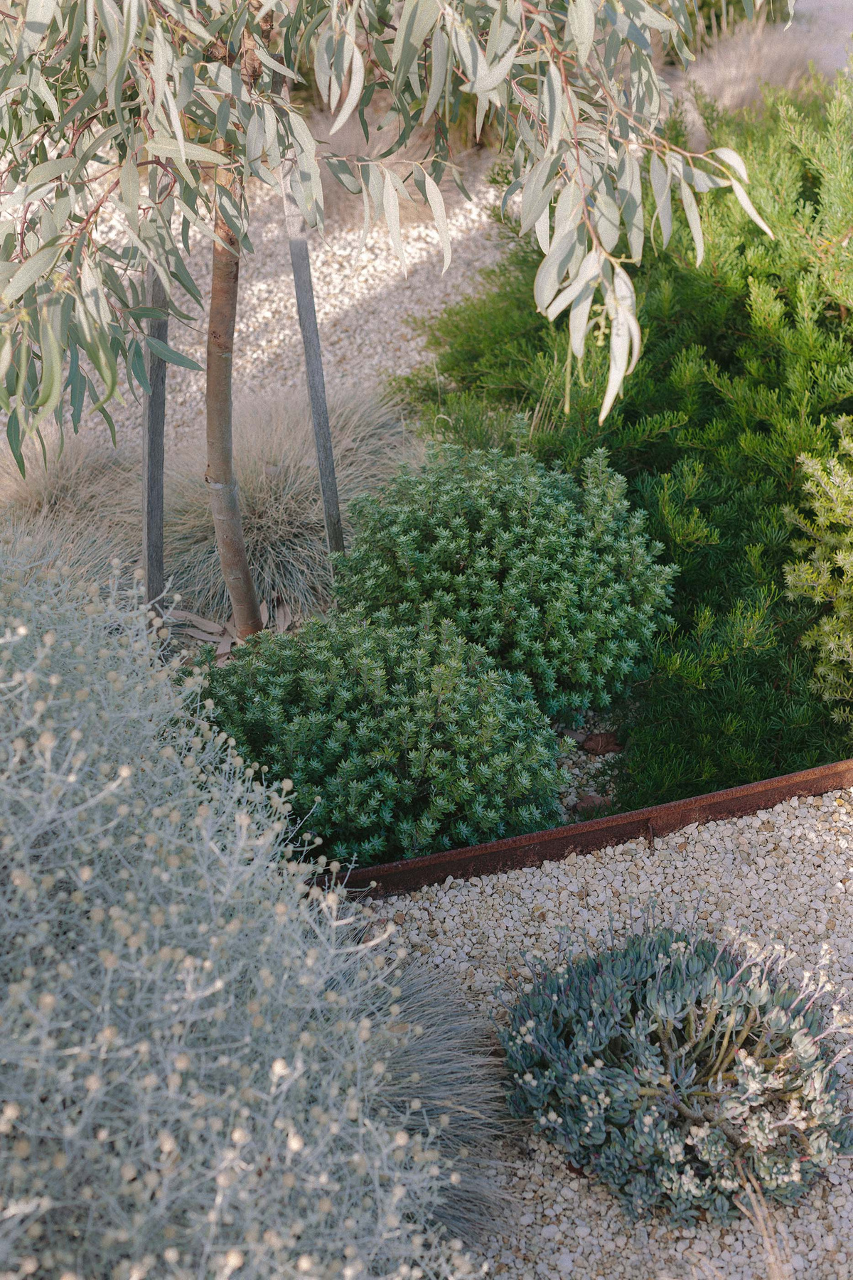 Hare Street — DRIFT Landscape Studio