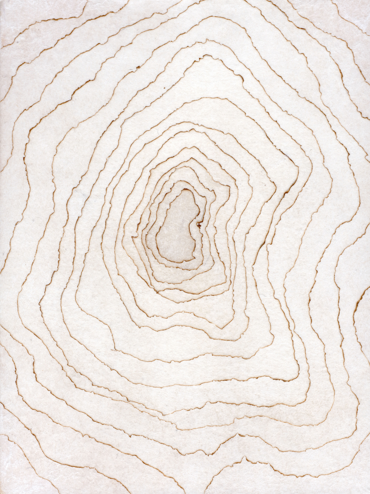 maps of bikini — Yi Dai