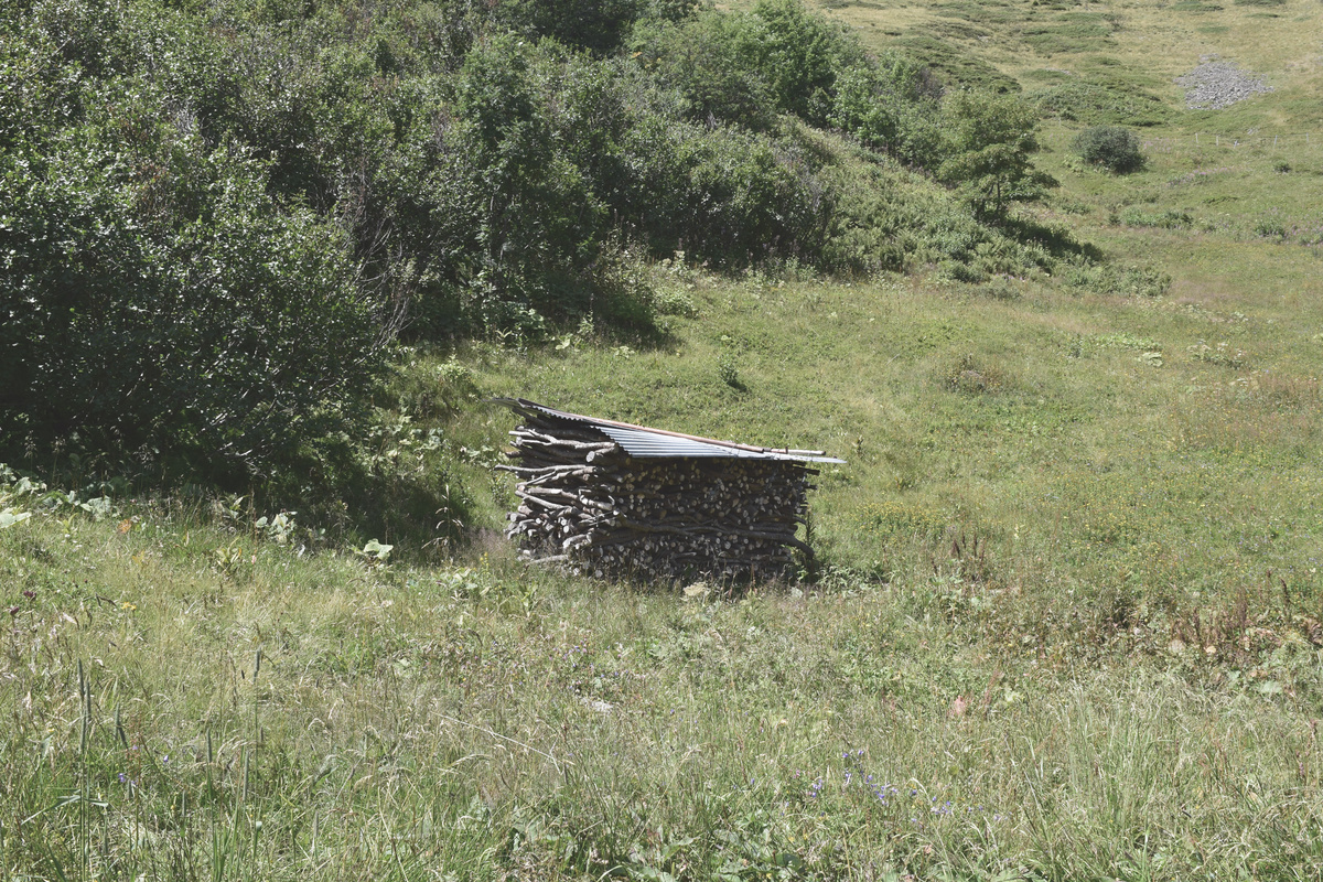 Work — Sam Sherman