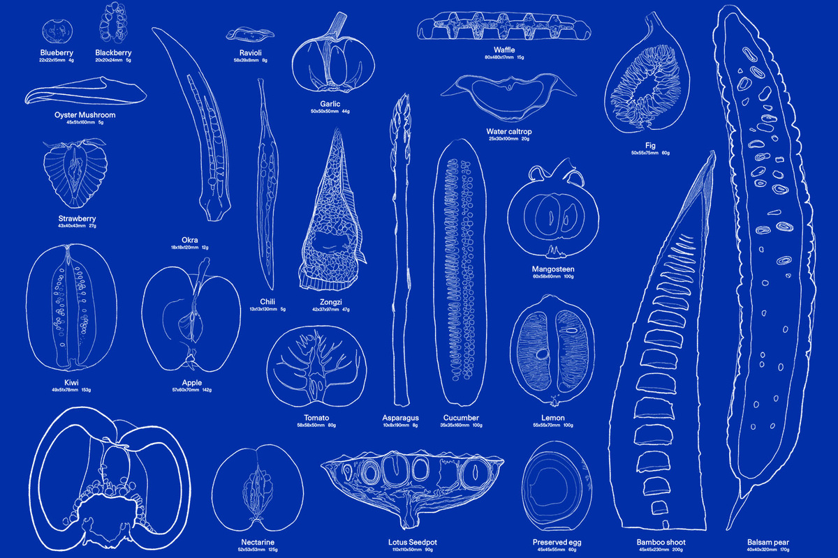 Food Anatomy — BUYI