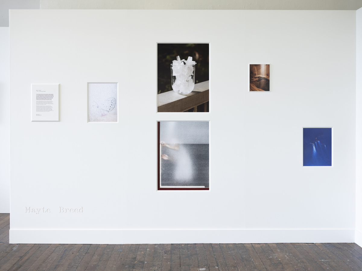 Projects — maytebreed.com