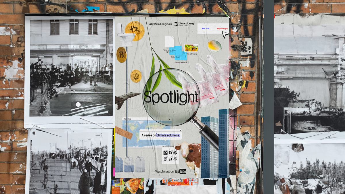 Spotlight — Beatriz Patarata