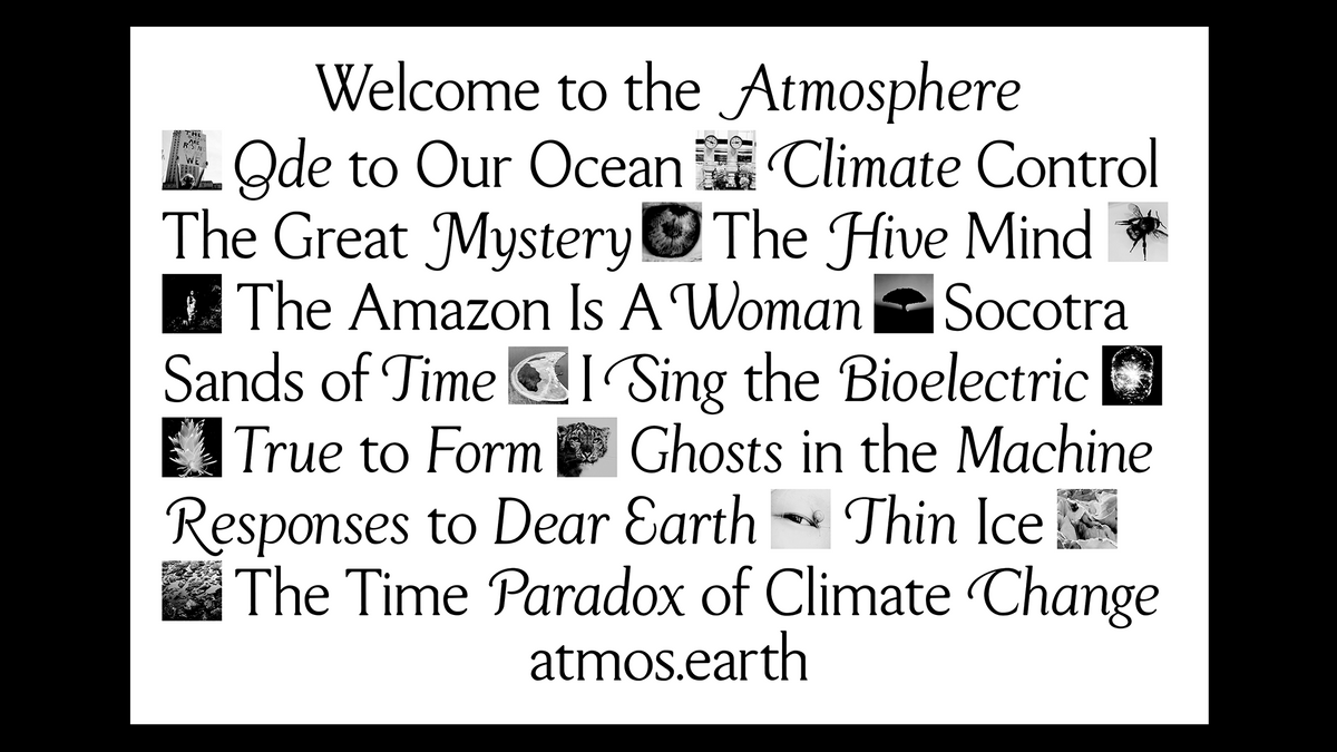 Arial Scroll — Cecily Li