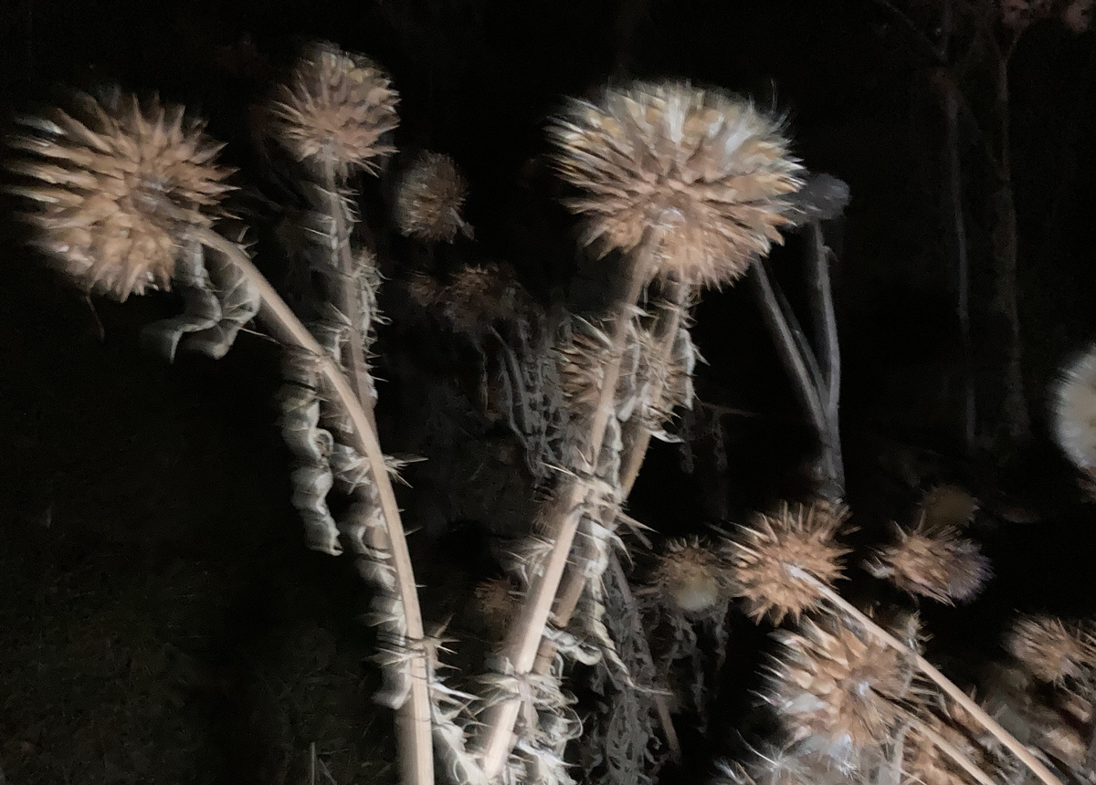 Rubbish Works — Pit Projects