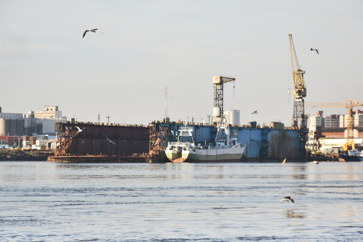 2020 detritus — KEN SEI FONG