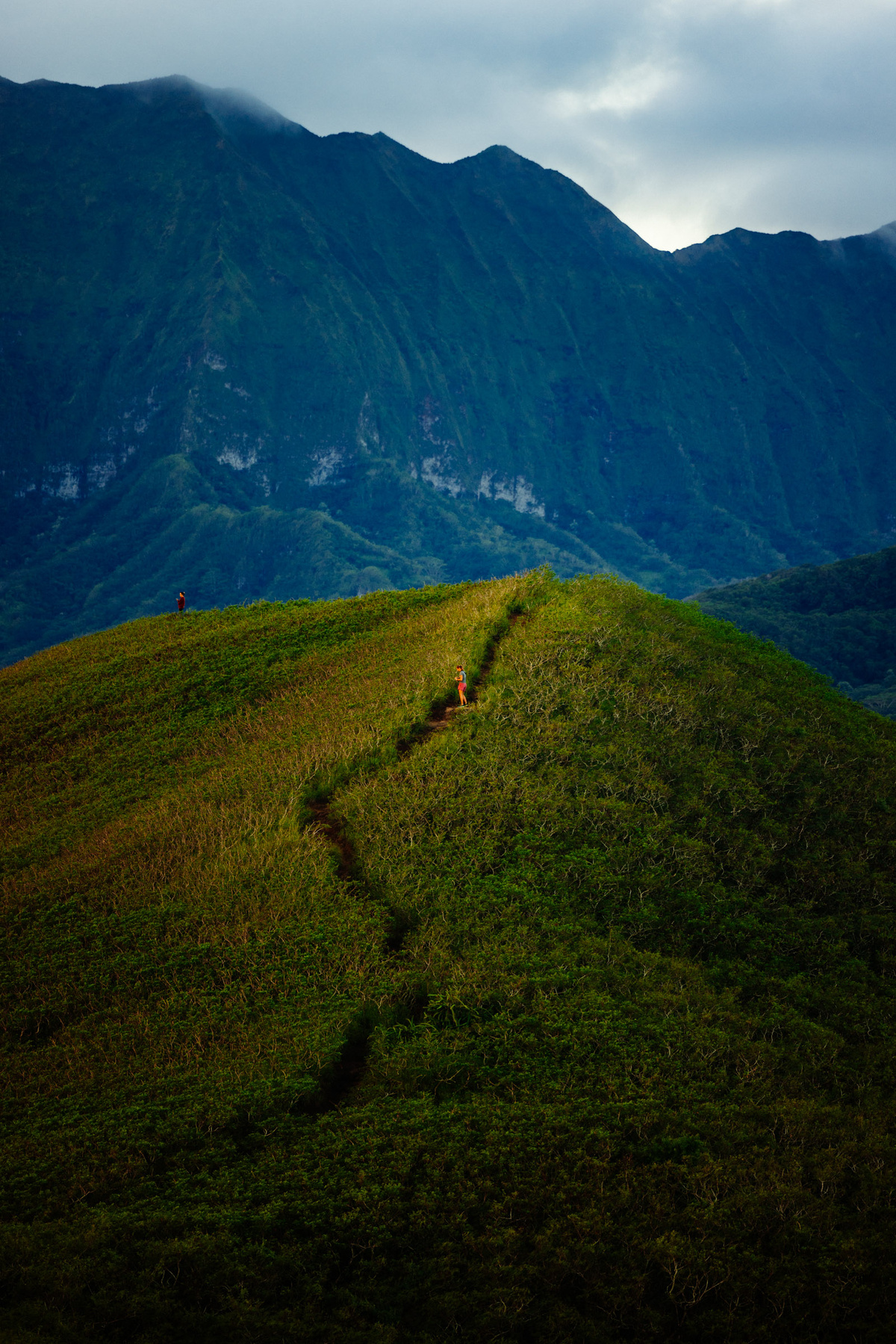 2023 — Anton Repponen