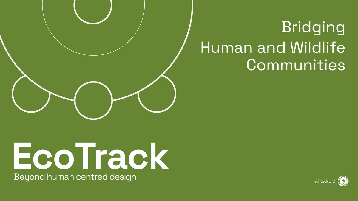 2 EcoTrack — LYY's