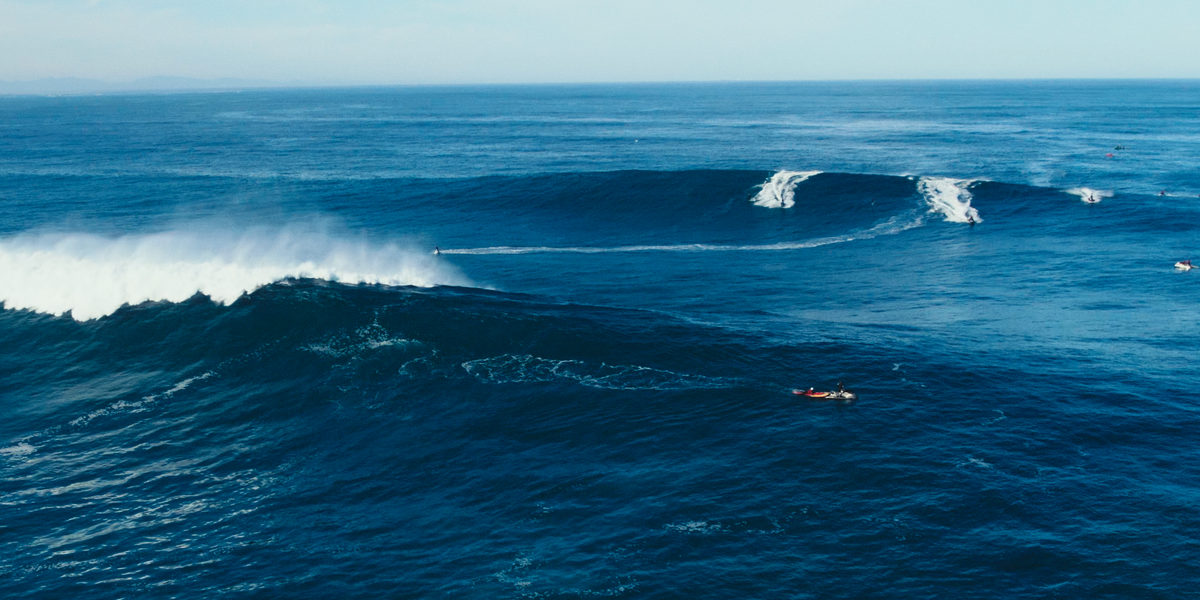 Belharra — canopy.work