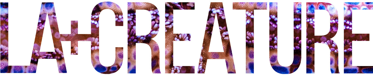 LA+ INTERRUPTION_RESULTS — laplusjournal