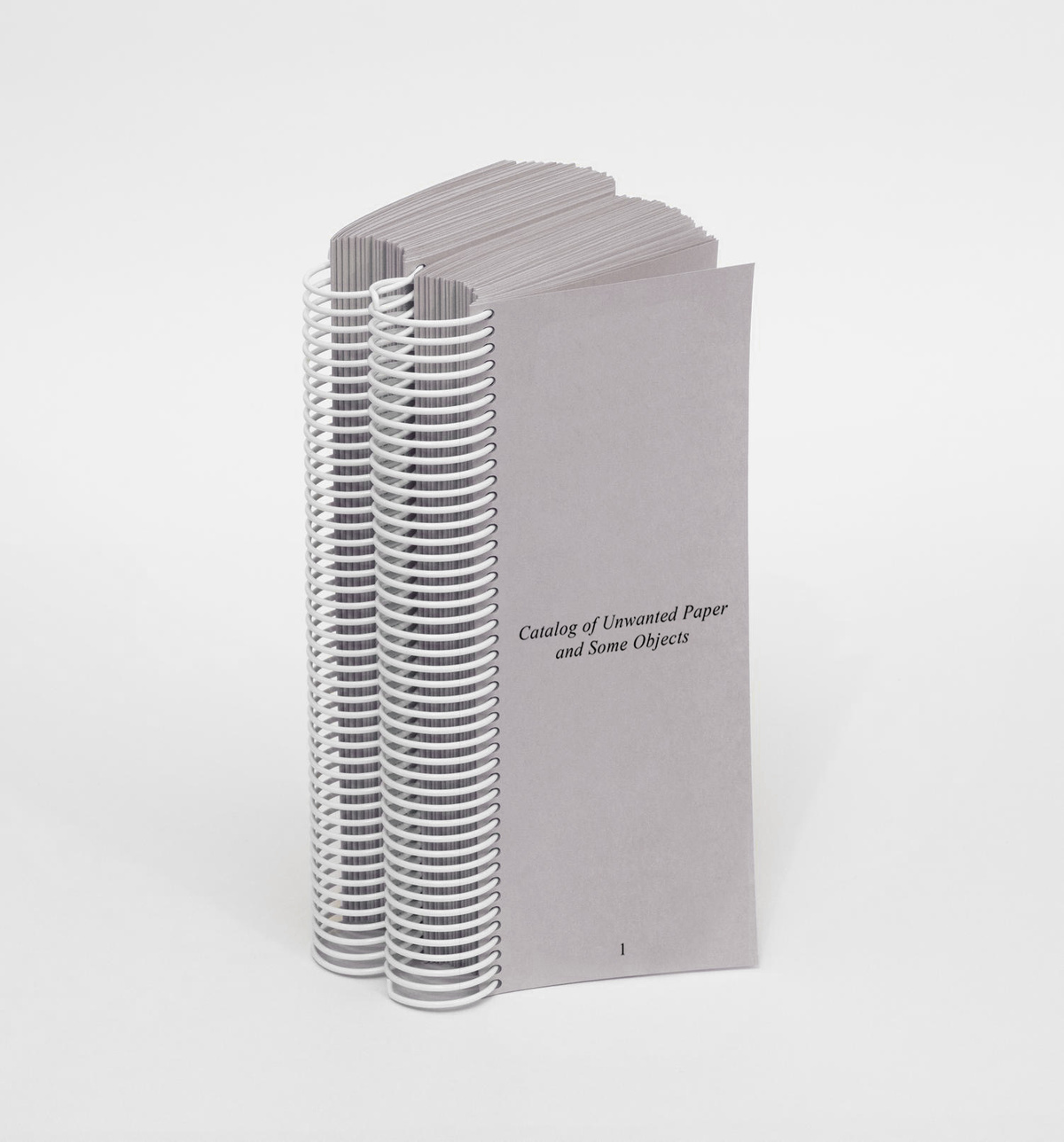 Catalog of Paper and Unwanted Objects — Lauren Safier