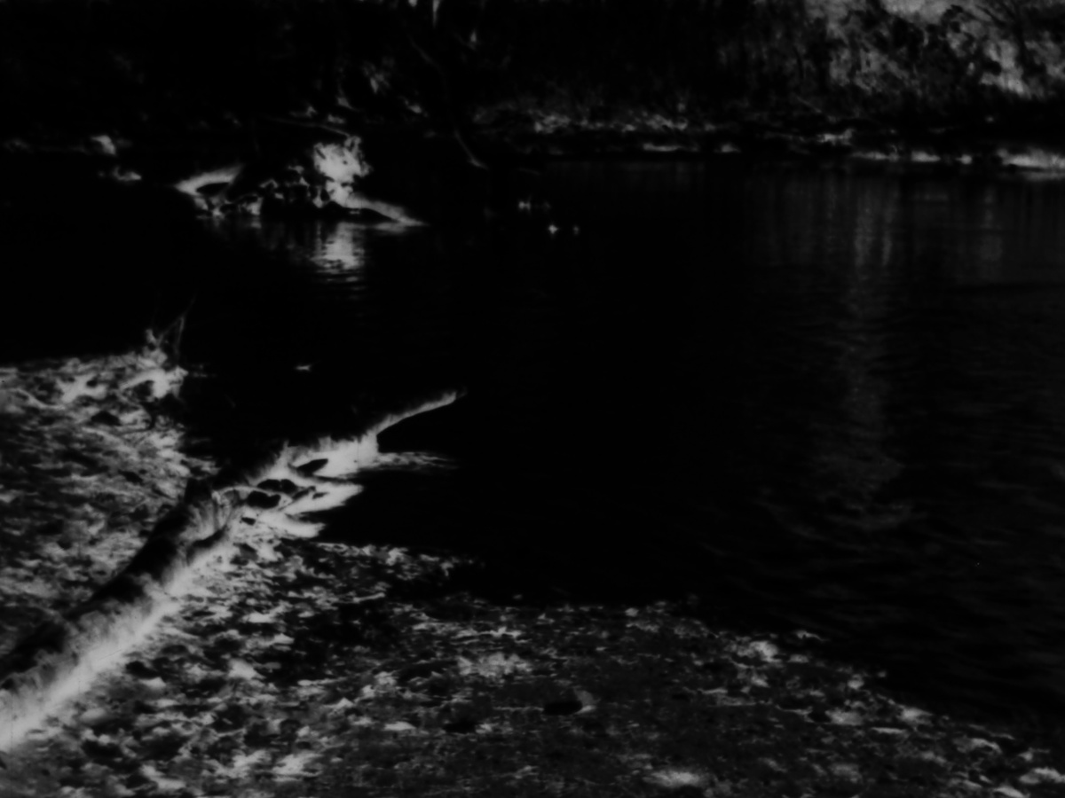 Acid Rain — Archer Boyette