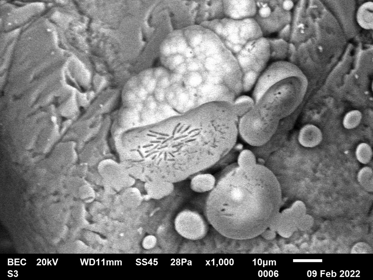 Biocement — Programmable Mud MIT