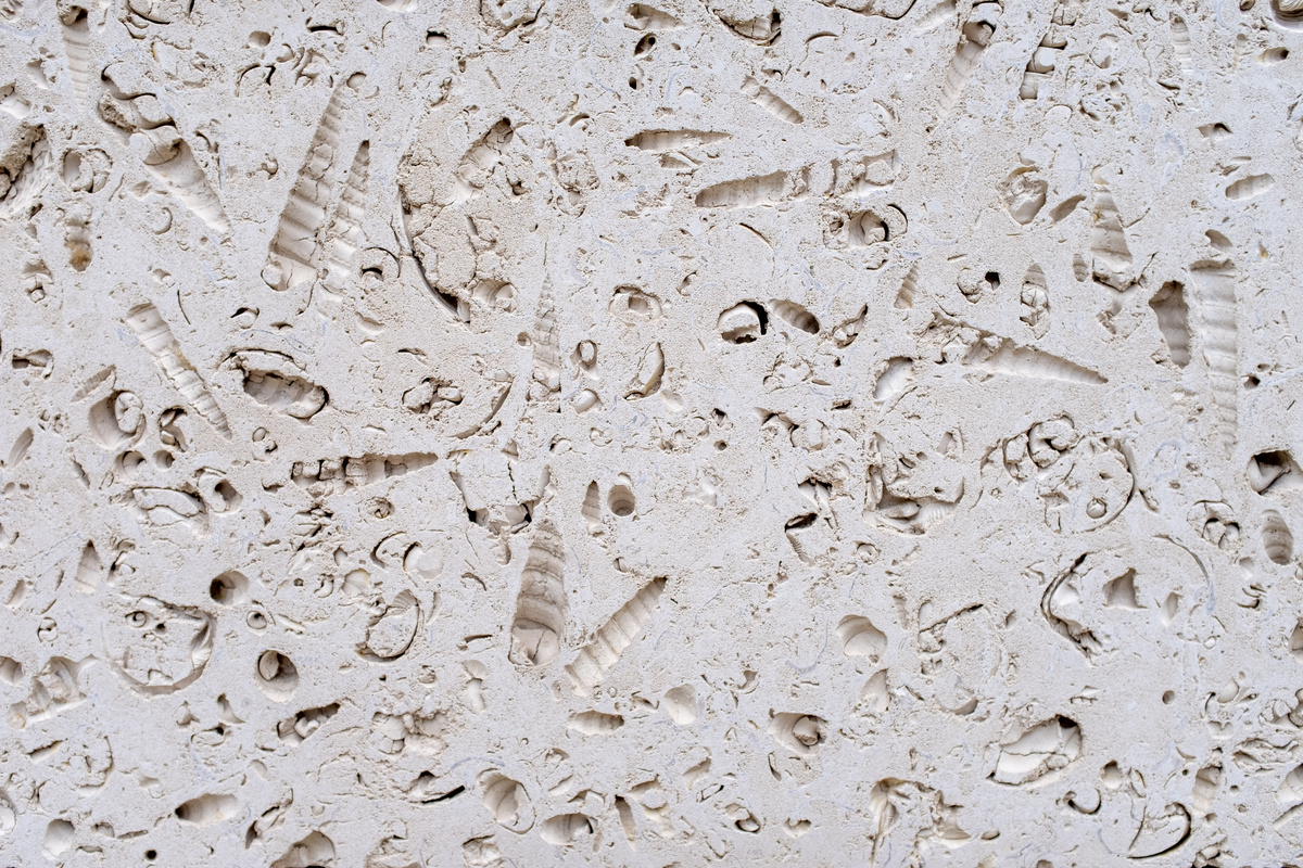 Portland Seat — studio gb