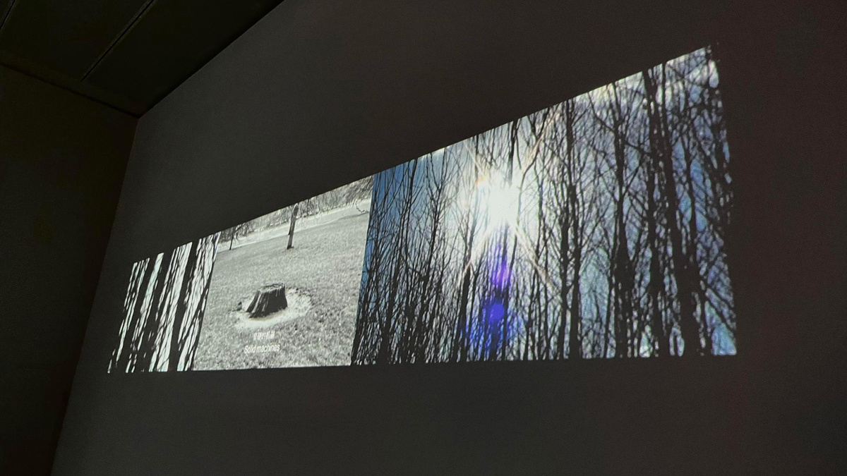 The Fading Spaciousness — DING LING 丁澪