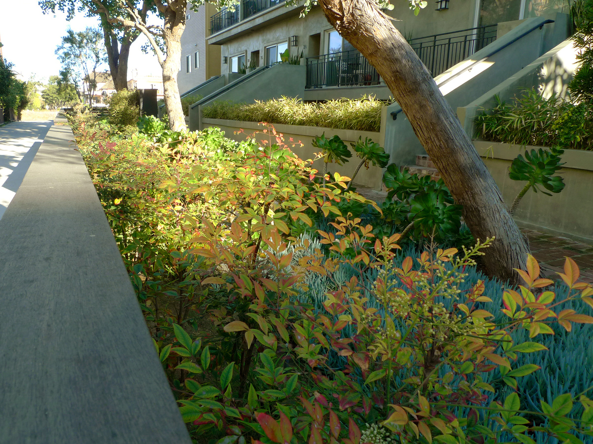 Northstar — SALT Landscape Architects