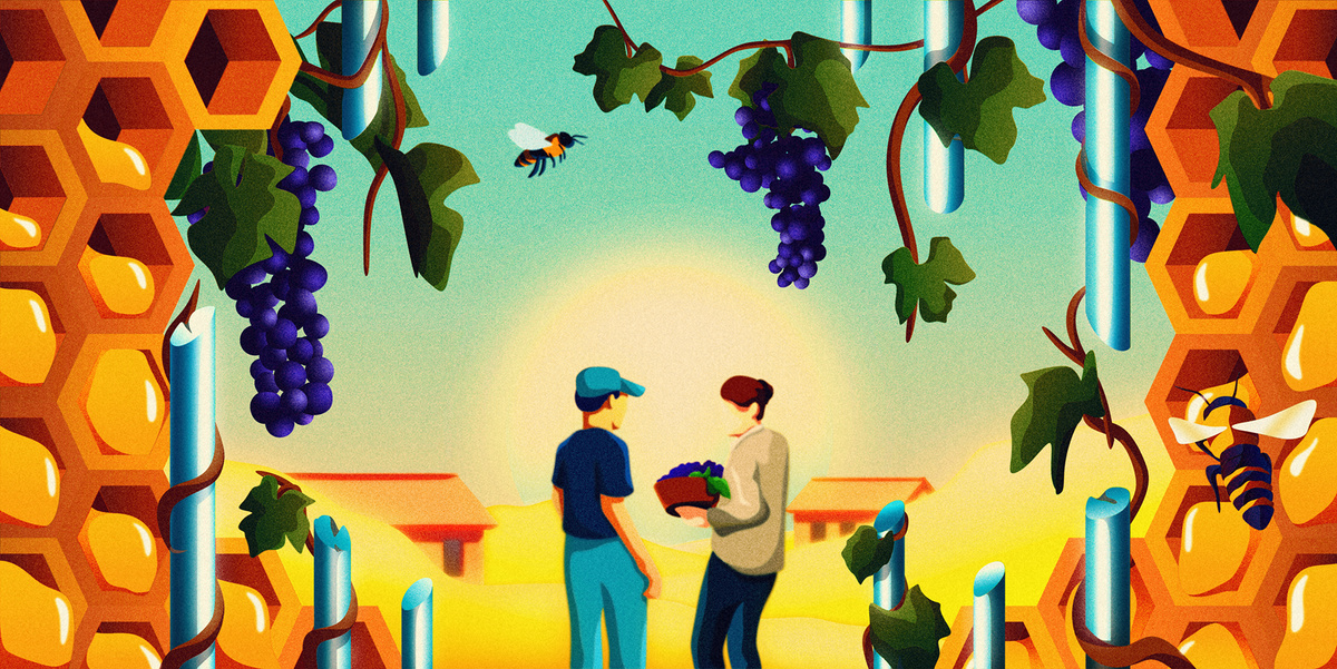 VinePair — Peter Gehrman