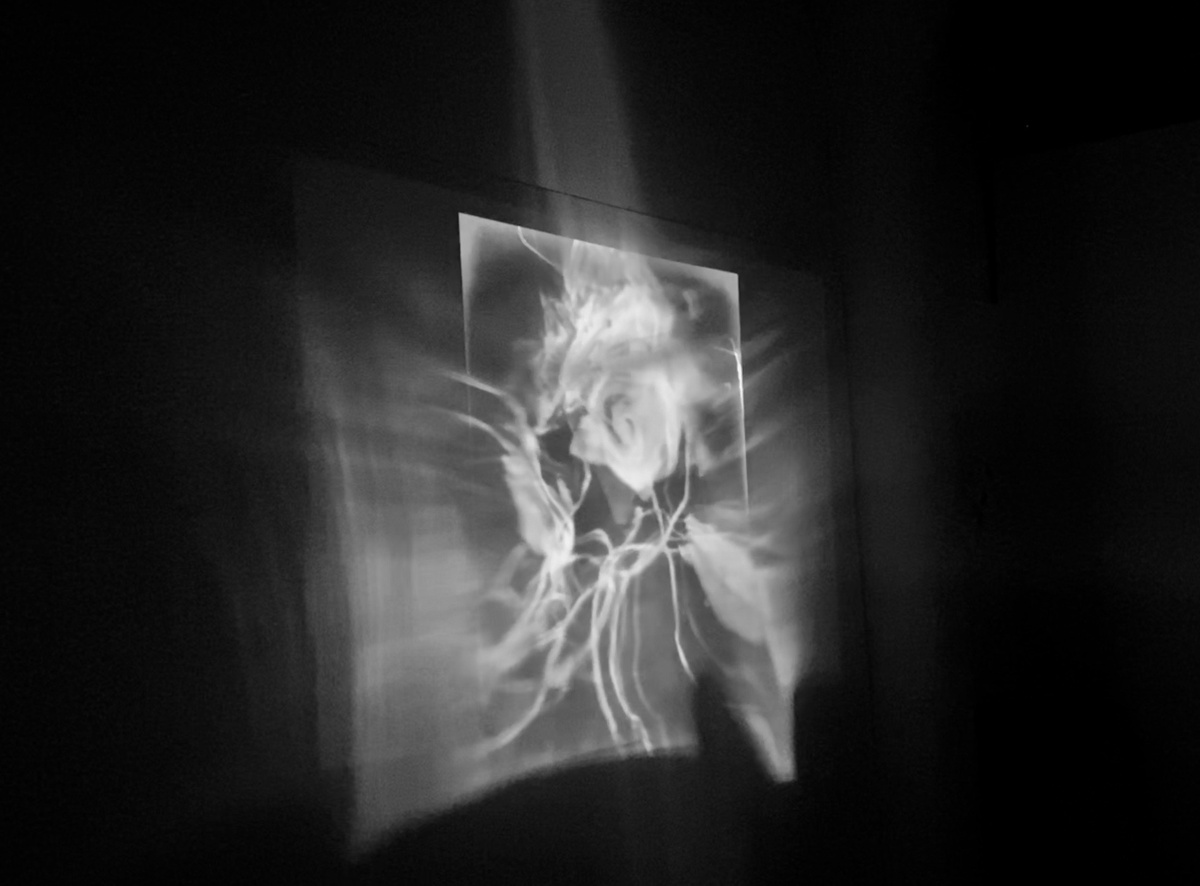 Celestial Flower — alexandra ionescu