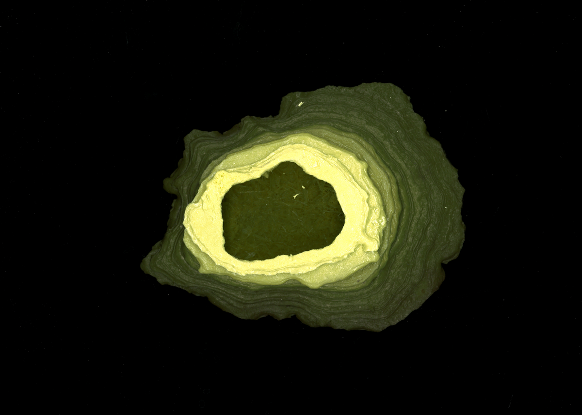 Earthy Delights — annadiljasigurdar