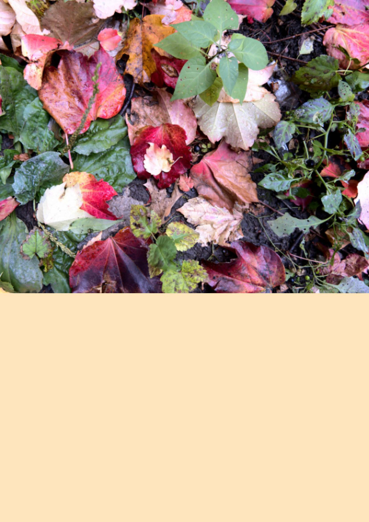 David C. Porter — The Hoosac Institute