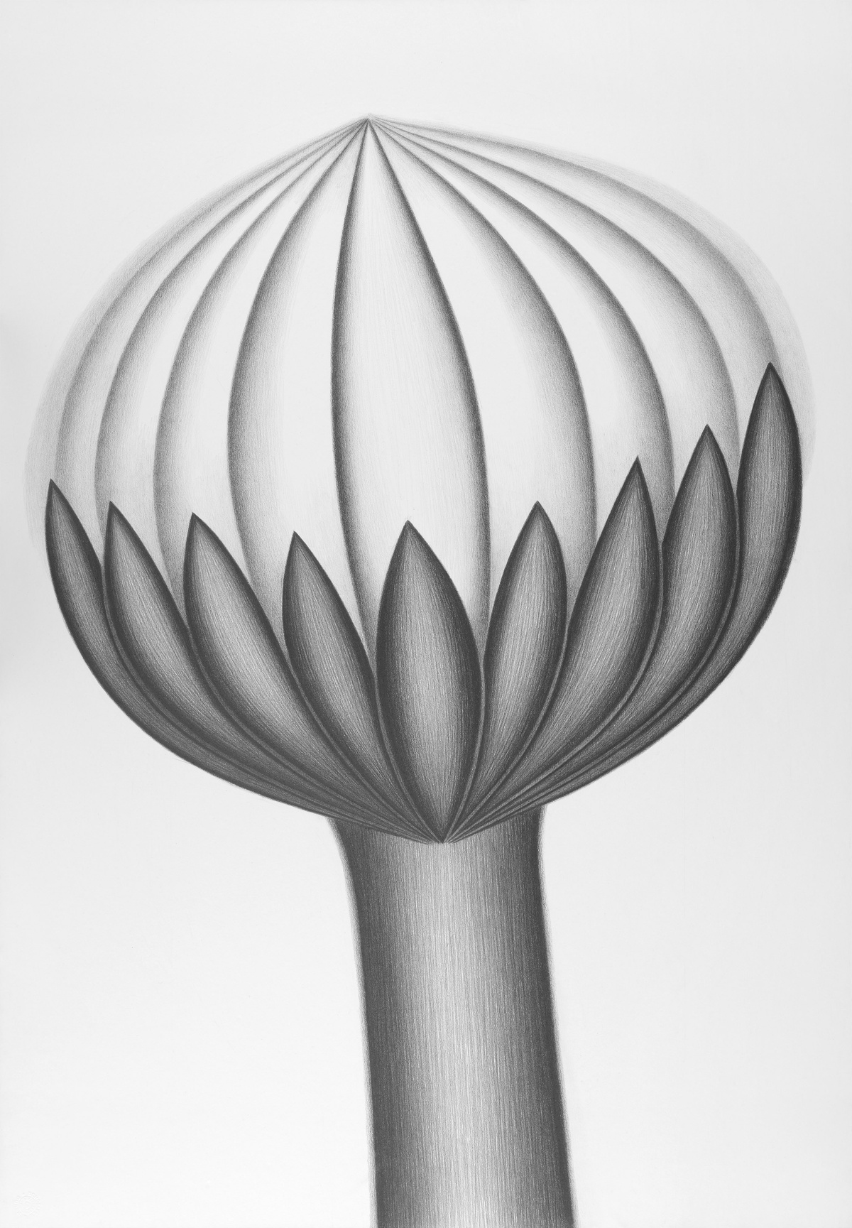 Grafito — NIEVES TORRALBA