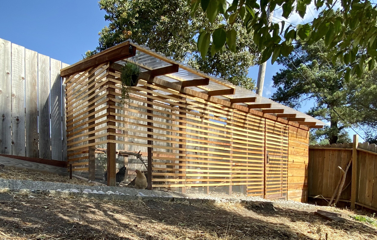 Chicken Coop — BAD STUDIO