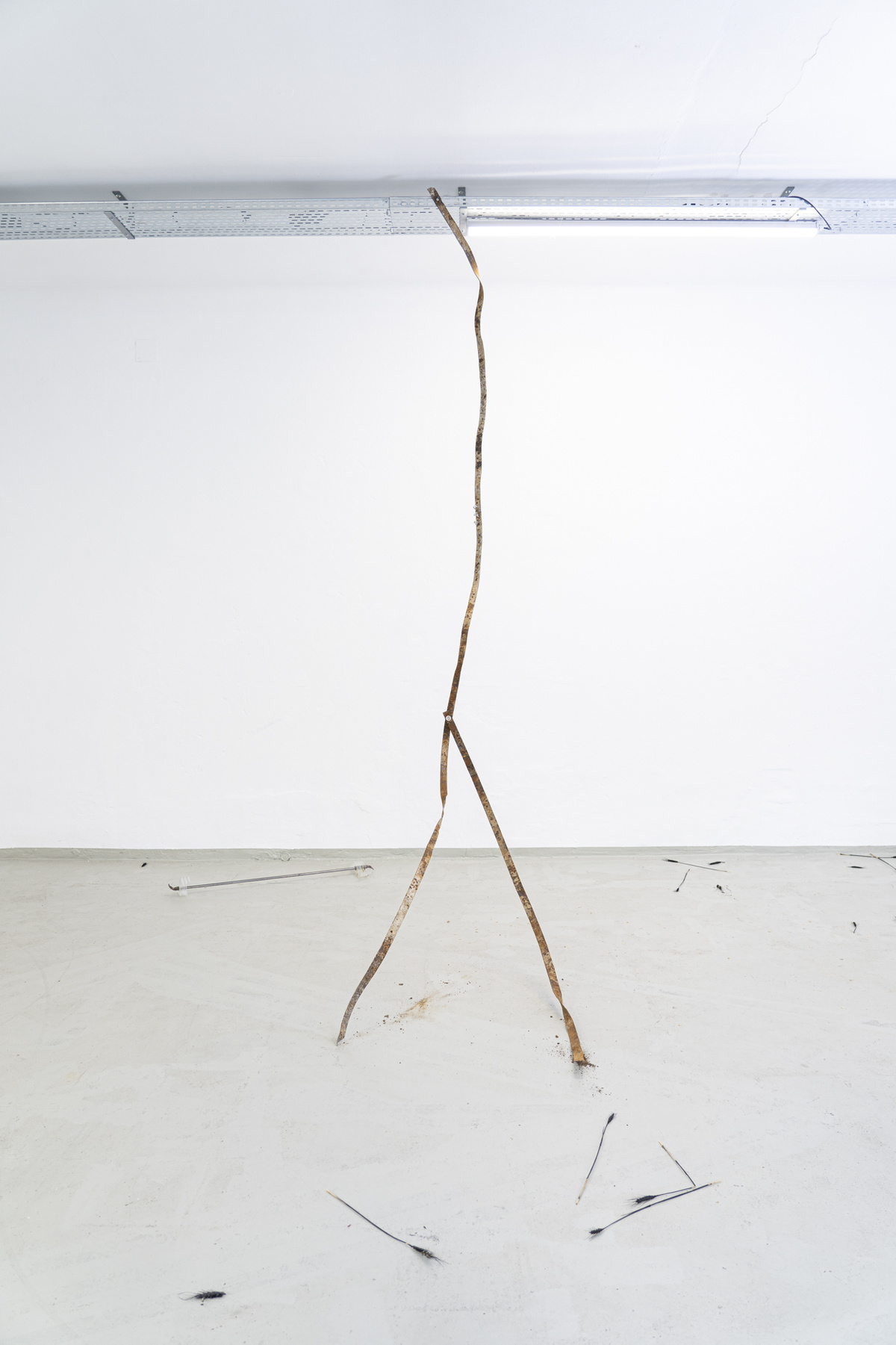 A terrible doorstop — René Stiegler