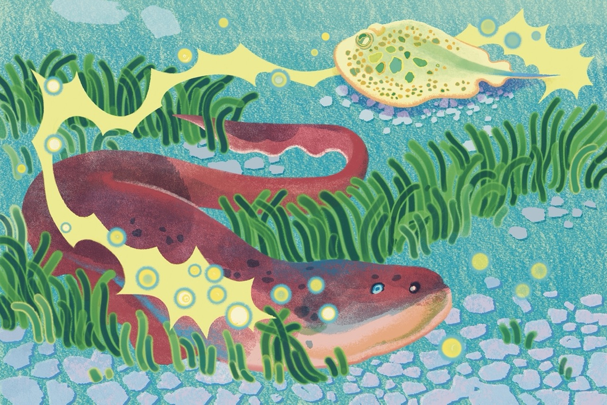 How Animals use Physics to Survive? — Xuuuan