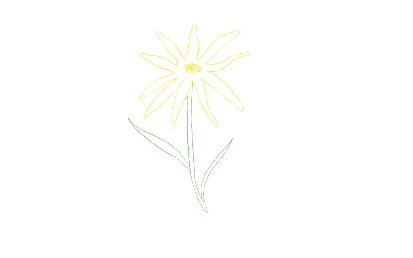 About — James Gately