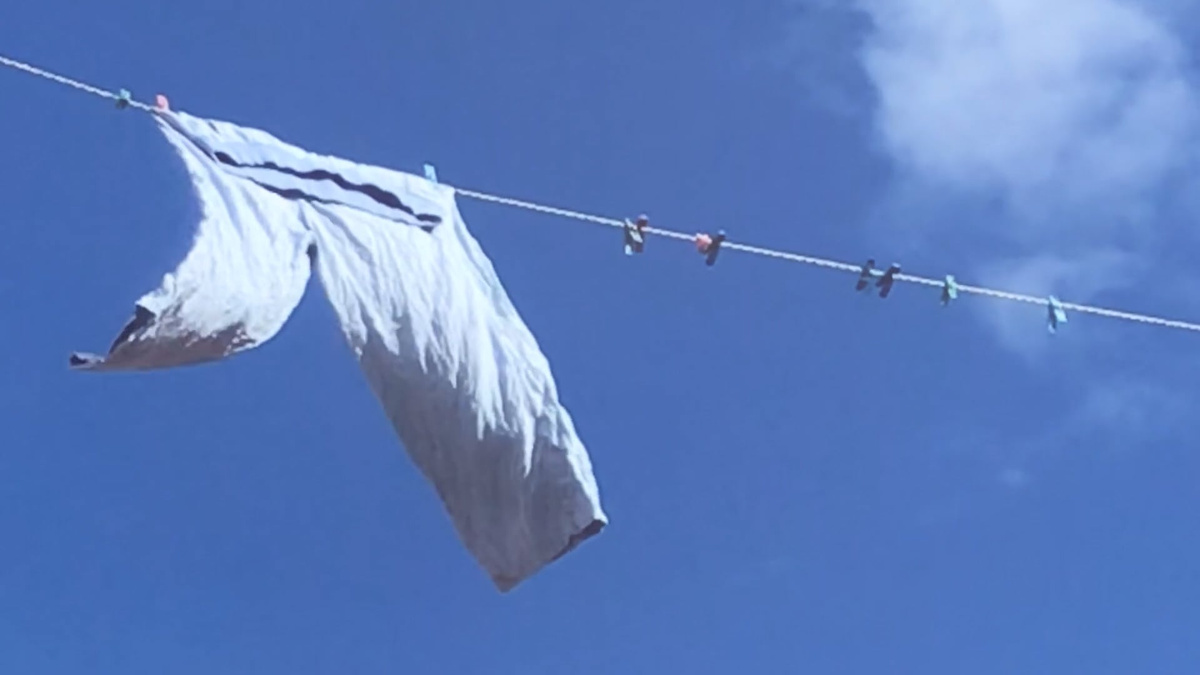 Curtis Miller: a fence is a fence but the clouds move freely — ROMAN SUSAN