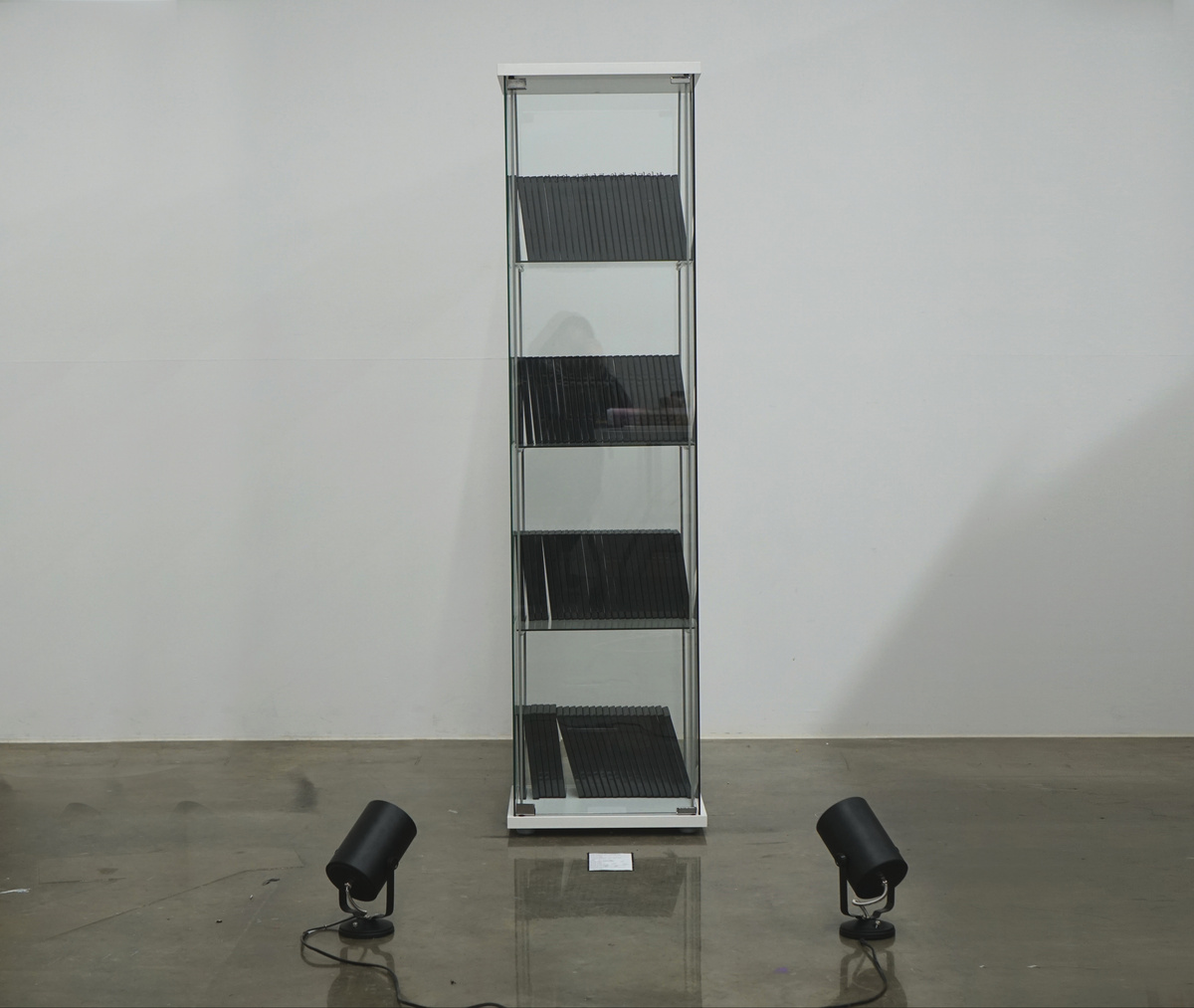 archive for the anonymous victims(2017) — sora park