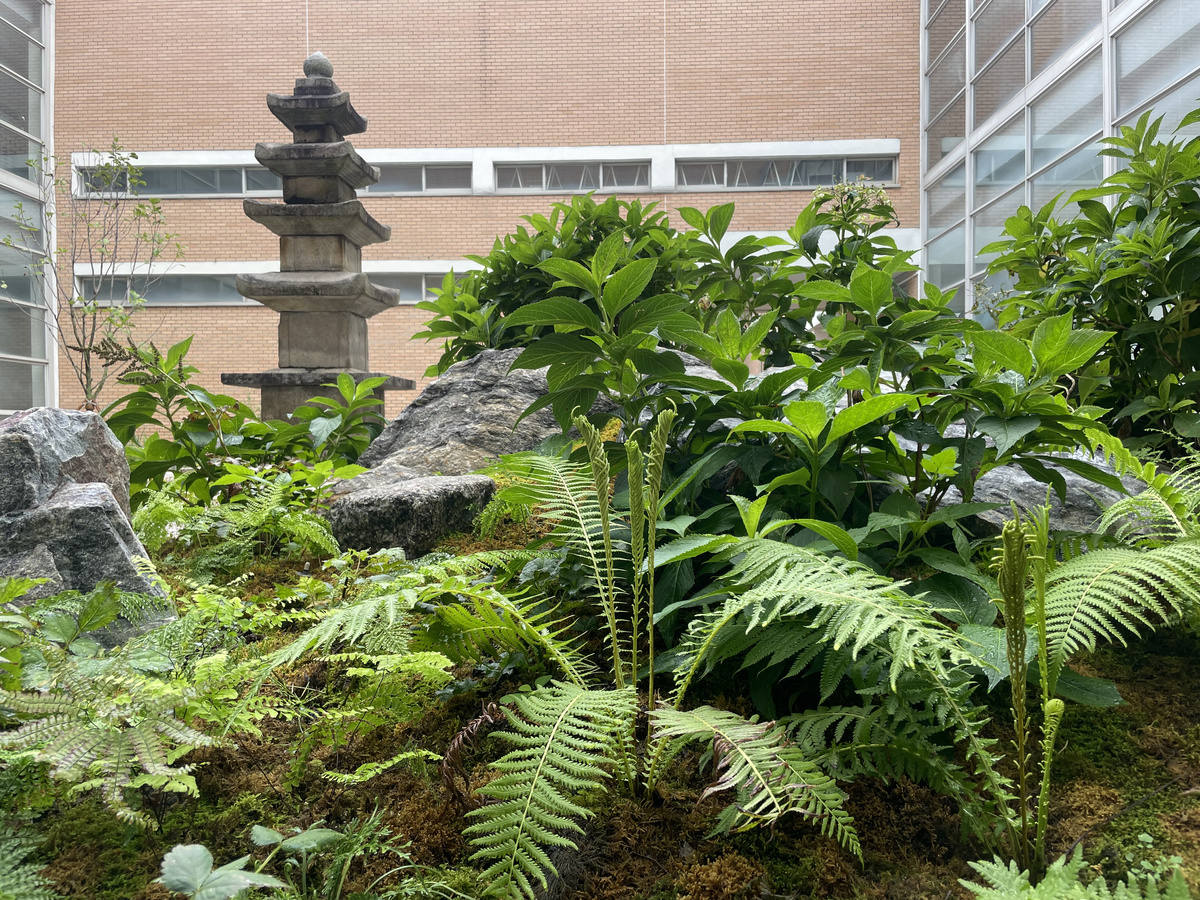 한국전통문화대학교. 중정 — botanicalstudiosam