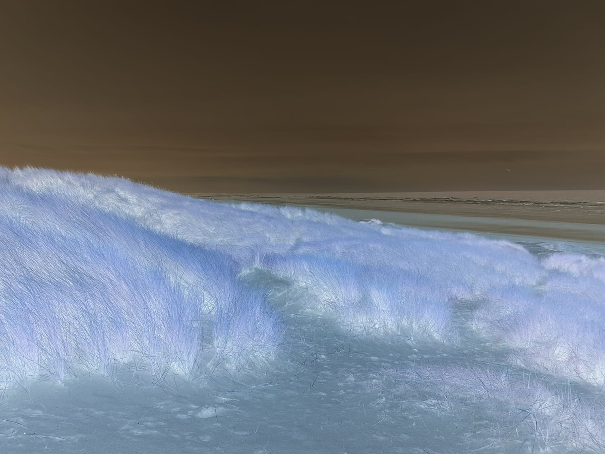 Sonics of Rupture — Marleen Boschen