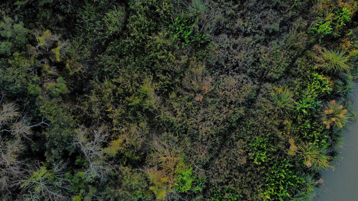 Experiences 1 — EMME