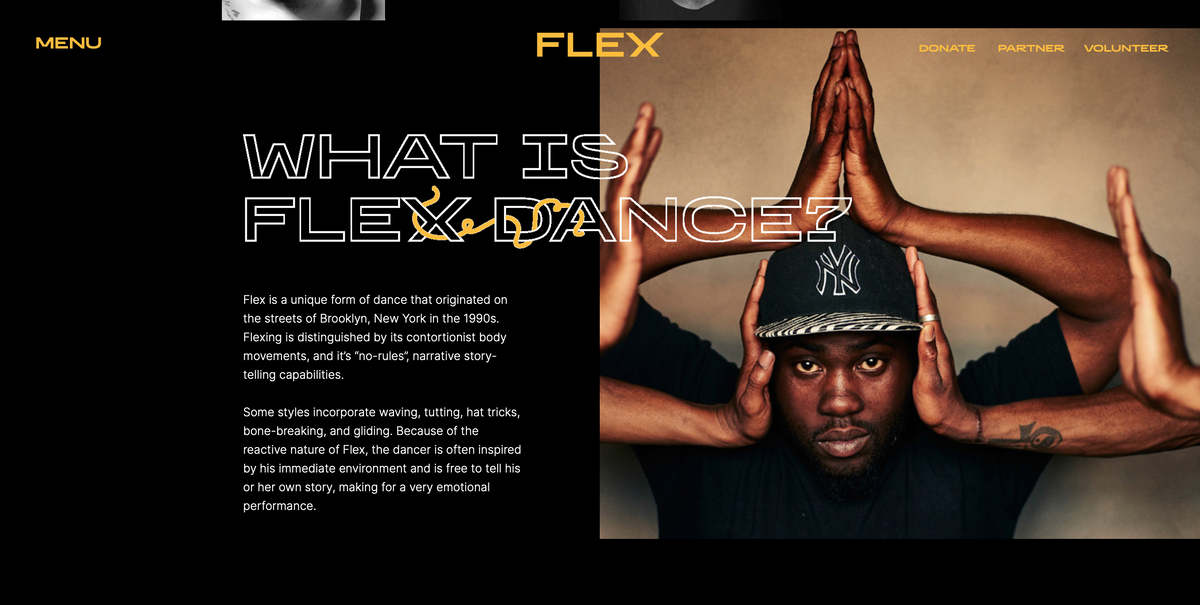 Flex Dance Program — EffieRyu