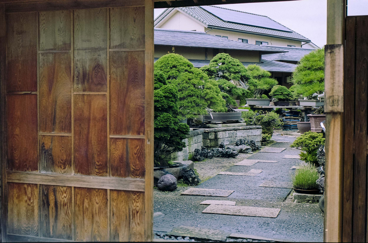 Omiya Bonsai Village Area Guide (Day Trip) — WHEN IN TOKYO | Tokyo's ...