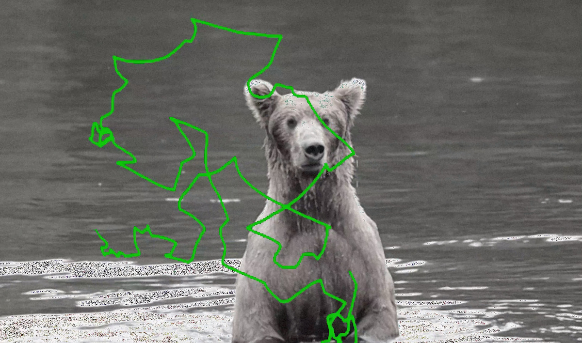 Arbitrary Radius Circle — Hana Yoo