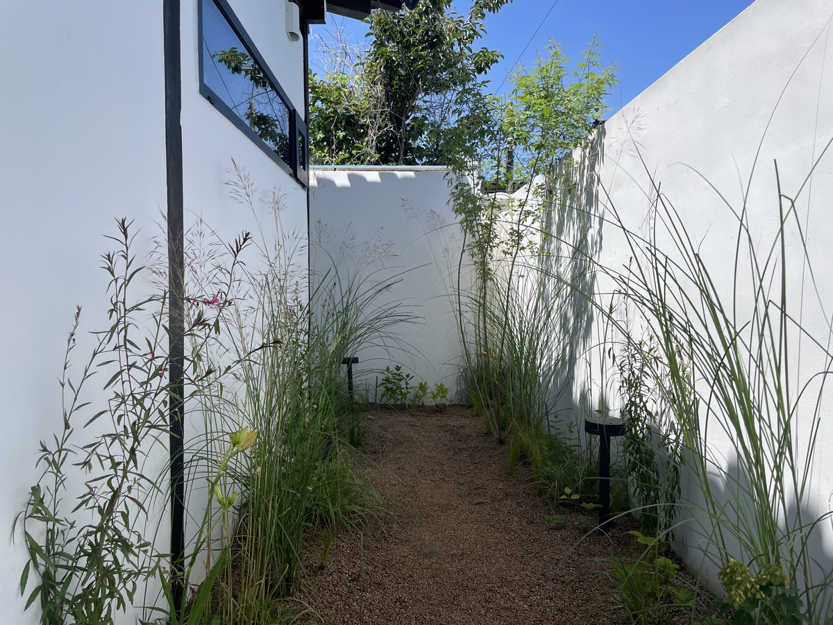 스테이자하 — botanicalstudiosam