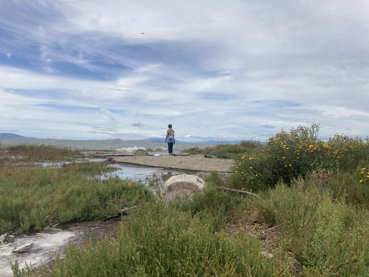 Cole Haddock — Sonic Geographies