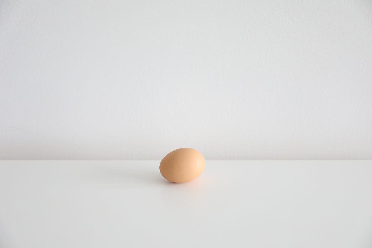 26 Verbs and 1 Egg — sammi wang