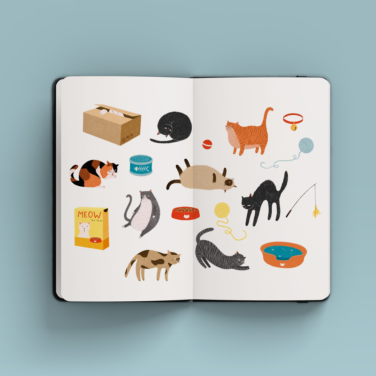 Cats — Benedetta Sala Illustrator