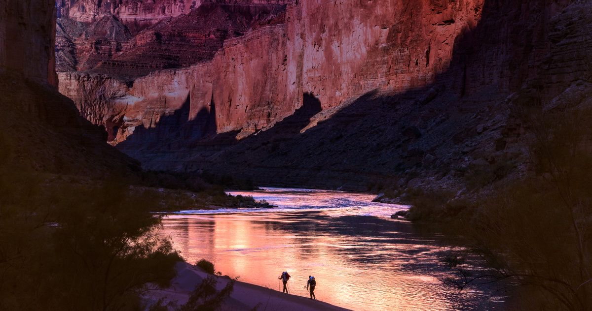 The Cancer Detectives — Insignia Films