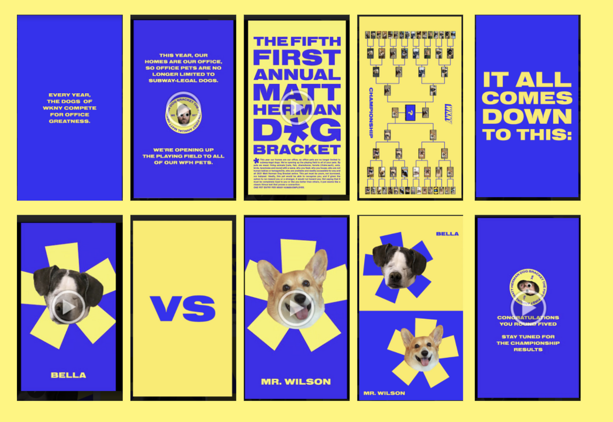 Dog Bracket 2021 — HellacuteDesign