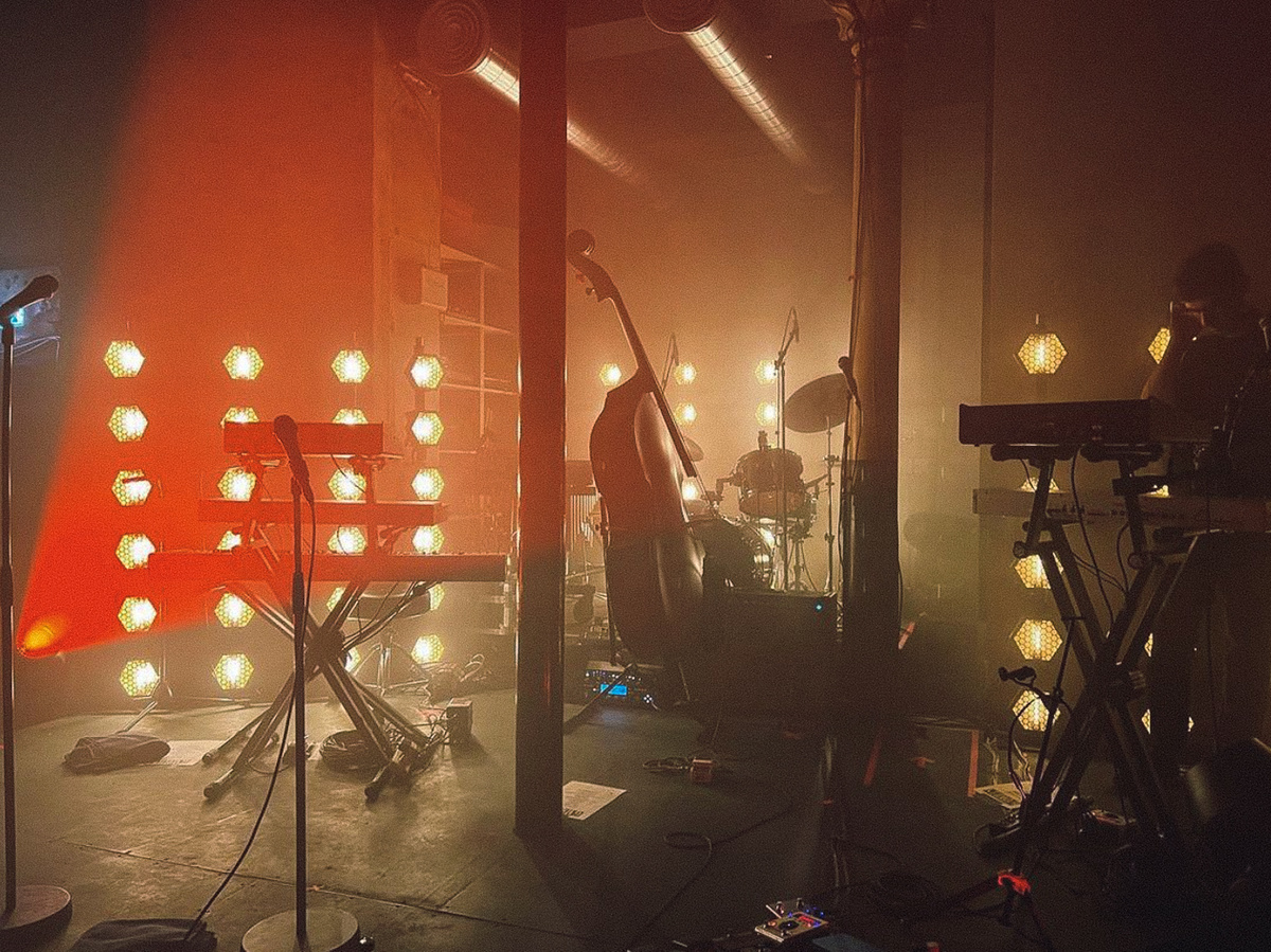 Below Stone Nest — Freddy Tuppen