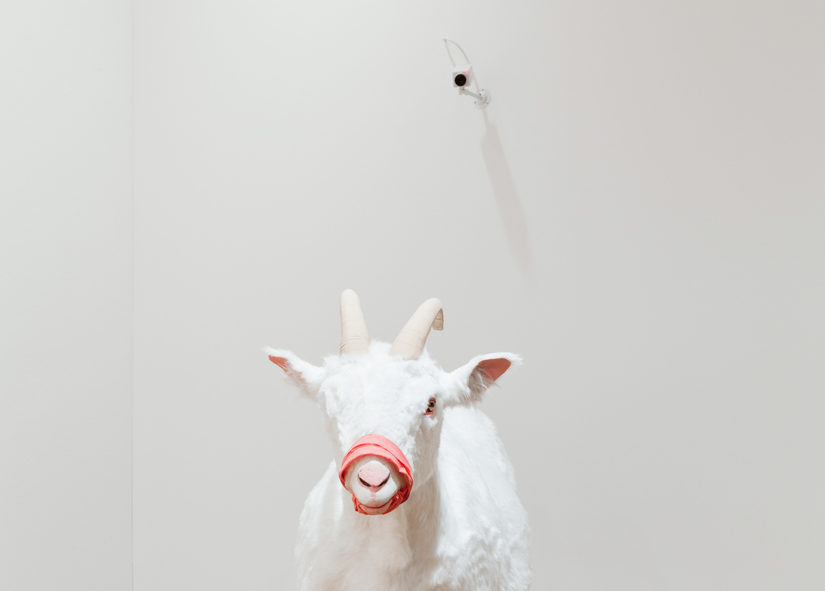 Goat — Maria Lux