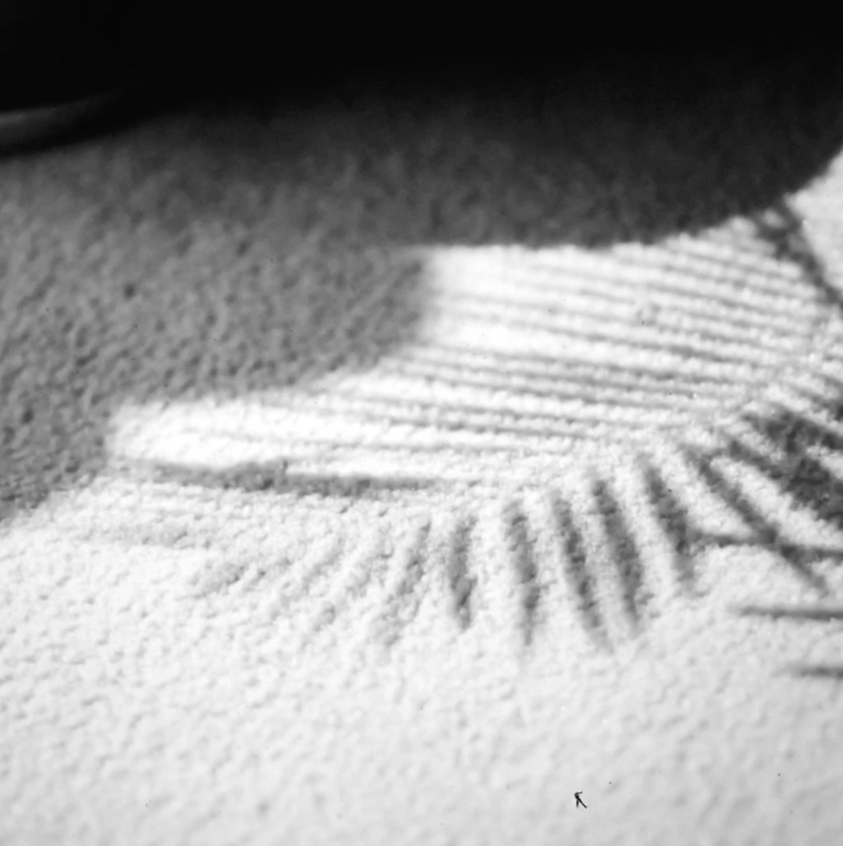 sago — MIRANDA J FRIEDMAN